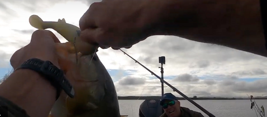 Boom Boom Destruction Day With Josh Parris [Crush#31]