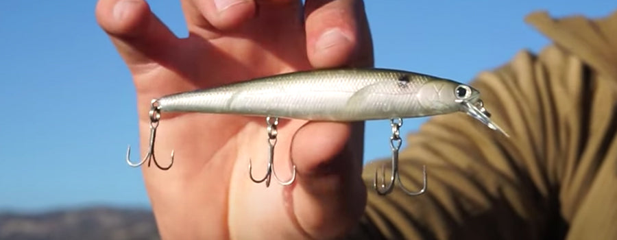 Targeting Clear Lake with Slender Pointer [Cold Water]